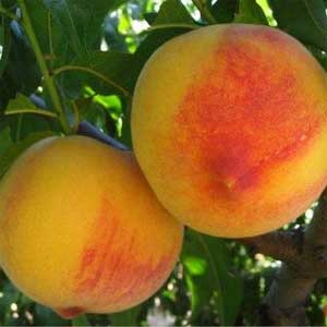 El rincón del Bienestar: 2012